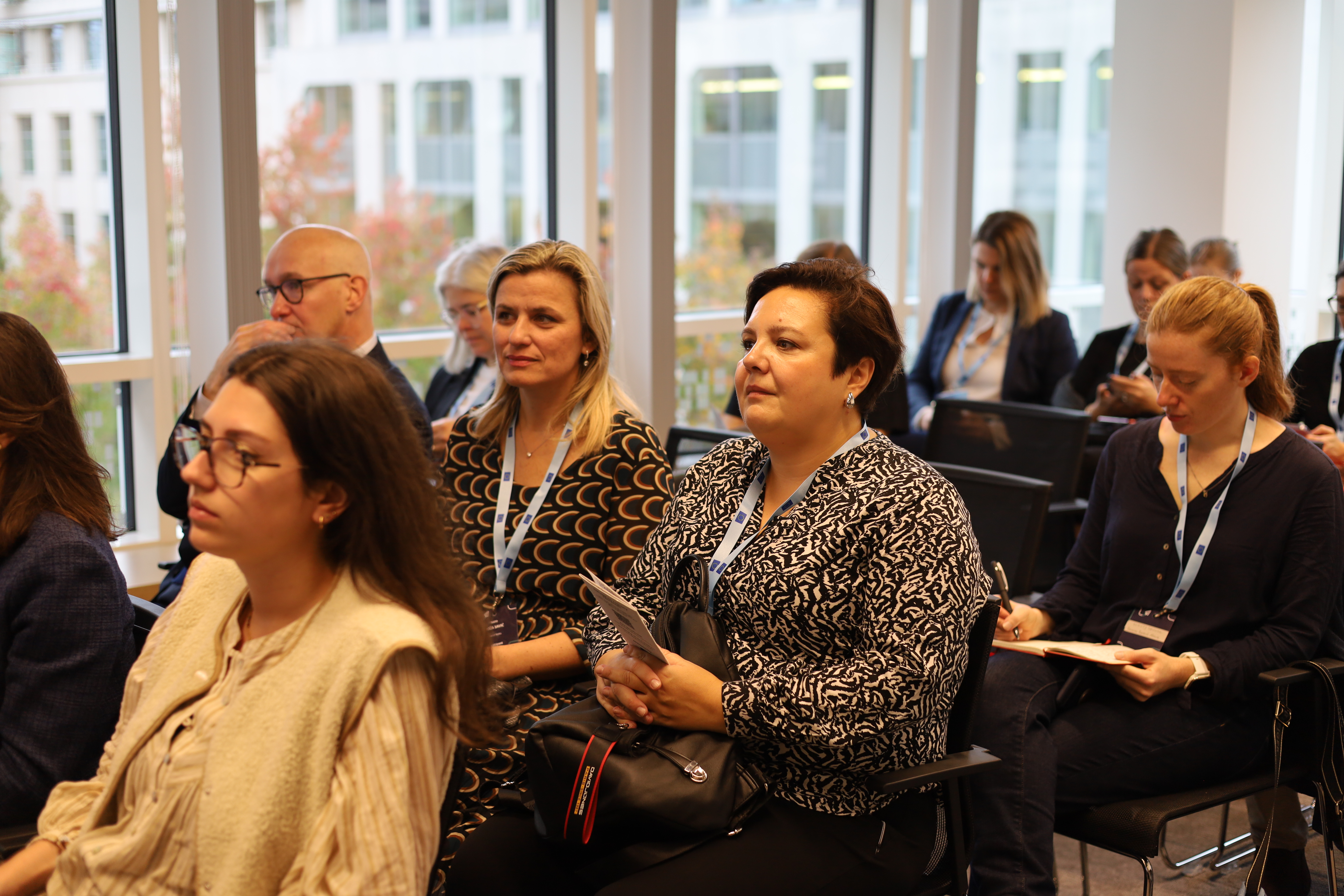 Insights into city-region collaboration: building capacity for ...