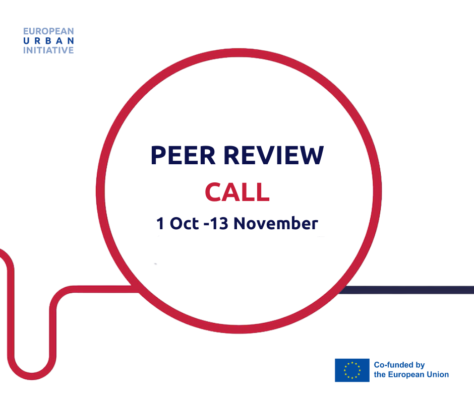 Open Now! EUI Capacity Building call for Peer Reviews | EUI