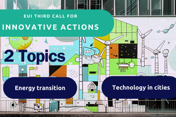 Third Call thematic focus | EUI